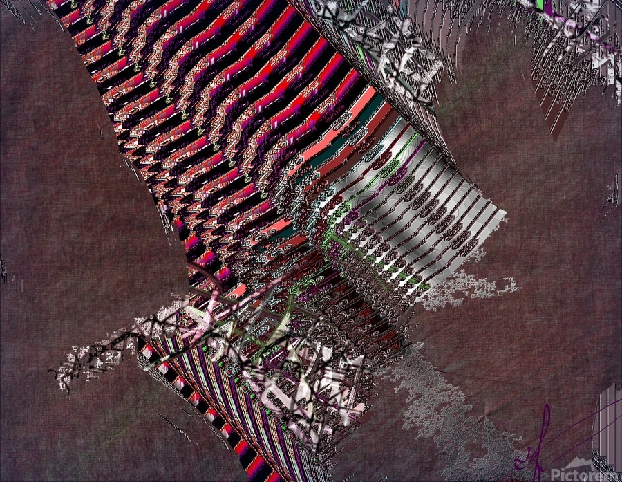 NAVIUM SPECIEM DE CAELO ADFULSISSE by Ed Purchla Wall Art