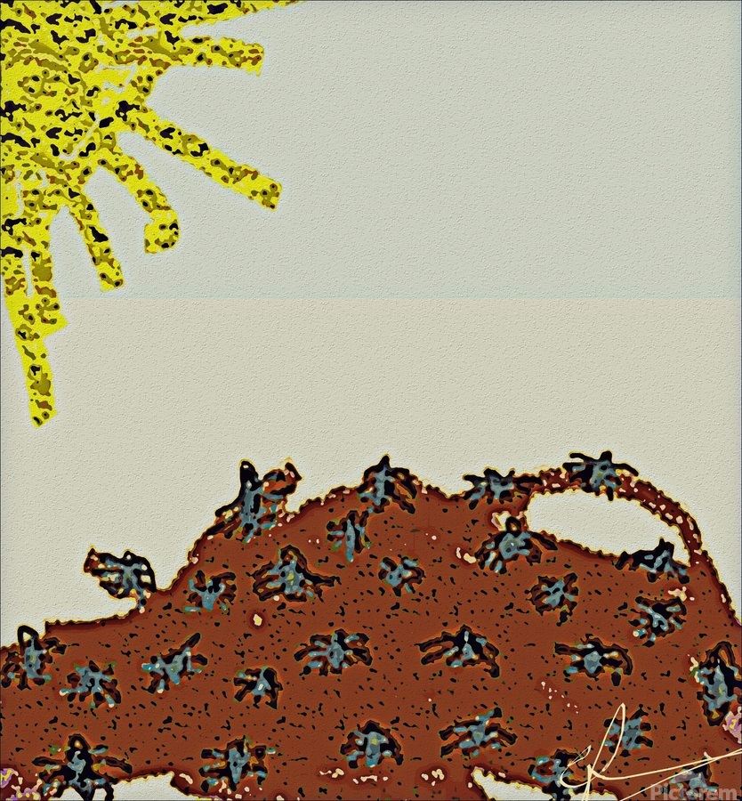 Wolf Spiders Rule Desertas Grande Island by Ed Purchla Wall Art