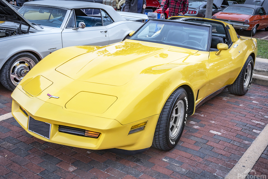 corvette 1980 c3
