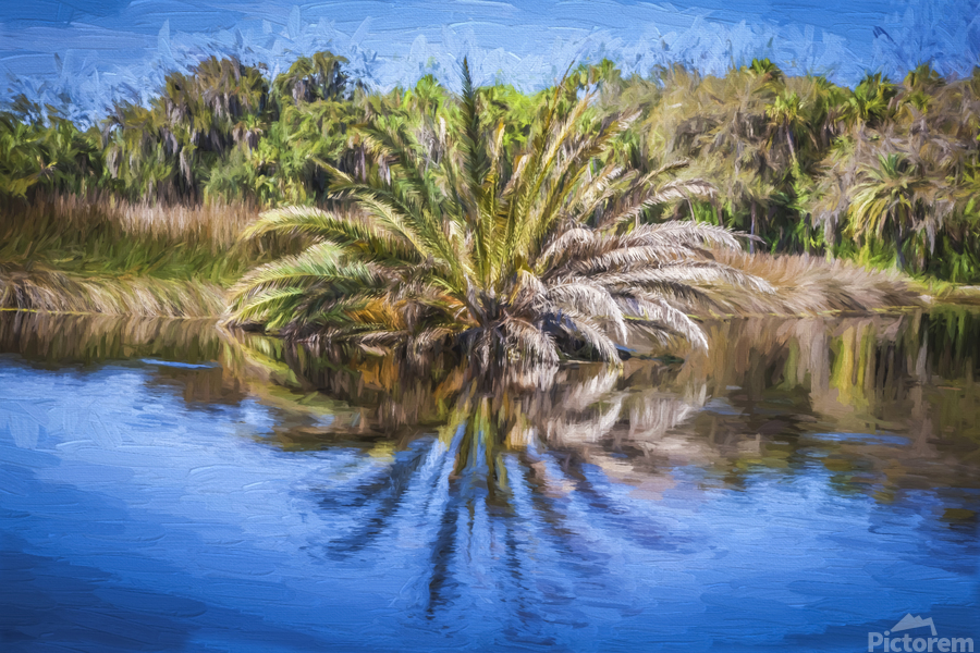 Ormond Scenic Loop Florida Palm Tree X100 by Rich Franco Wall Art