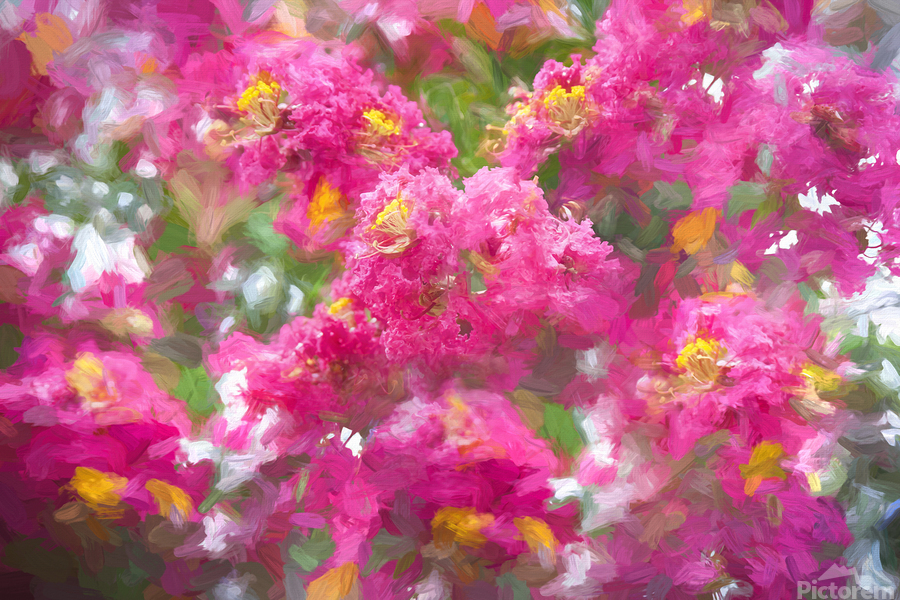 Crape Myrtles Tree Lagerstroemia X100 by Rich Franco Wall Art