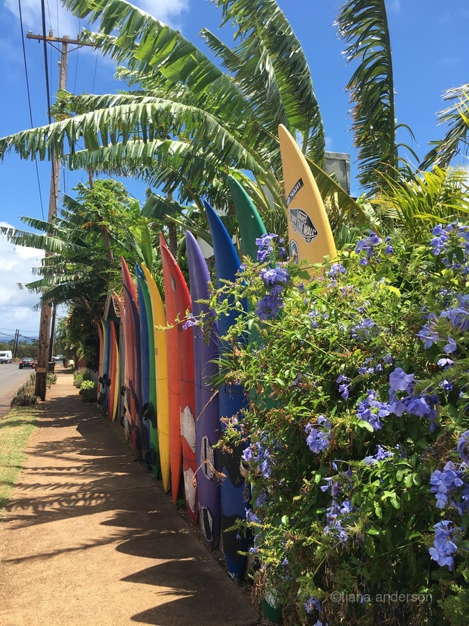 Paia by tiana anderson Wall Art