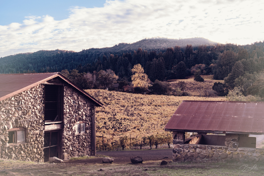 Red Barns I par Bruce Lisker PHOTOGRAPHY