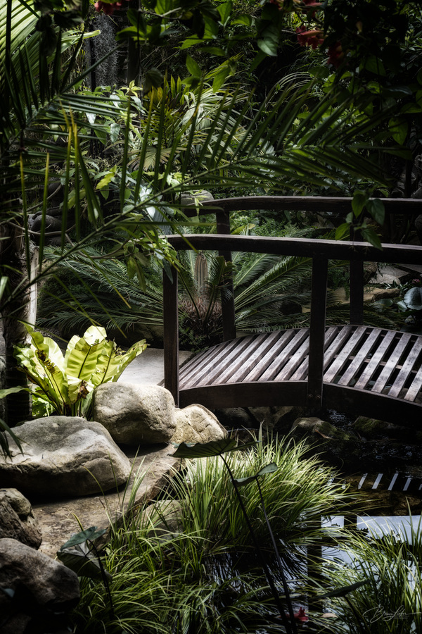 Bridge of Forgiveness by Bruce Lisker PHOTOGRAPHY Wall Art