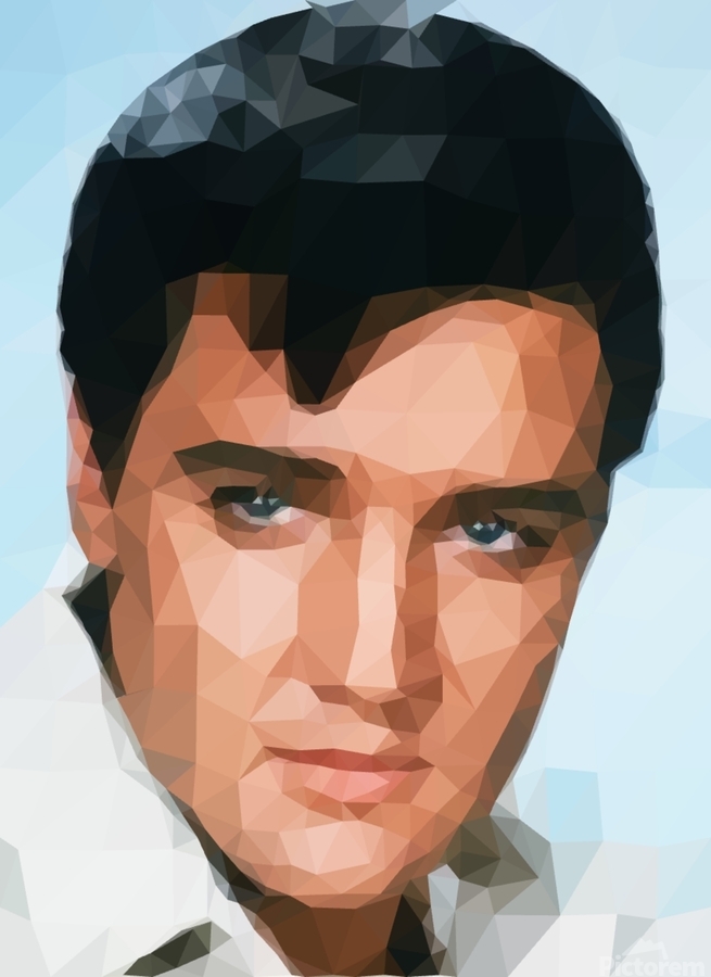 Elvis Presley 2 by Sin Far Wall Art