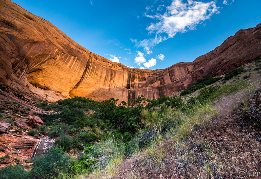 Coyote Gulch Sunset - Utah by Gary Whitton Wall Art