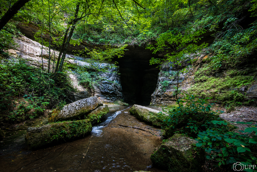 Donaldson Cave - Spring Mill State Park - Indiana by Gary Whitton Wall Art