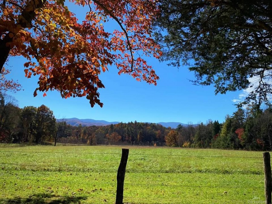 C856FBB2 6853 406B B62E 17901C9F3FFD by Mandi Pryor Wall Art