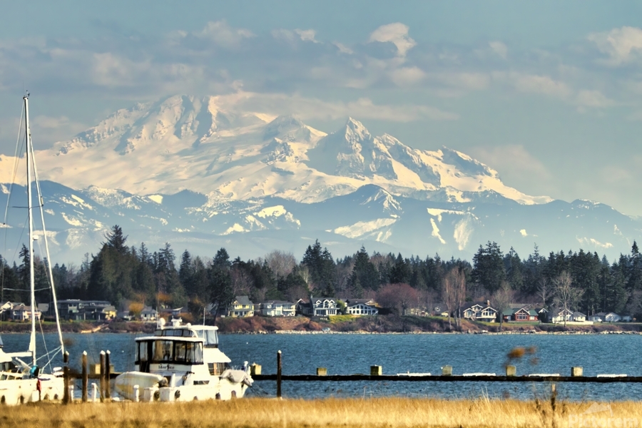 Semiahmoo Marina by Tasha Fernandez Ross Wall Art