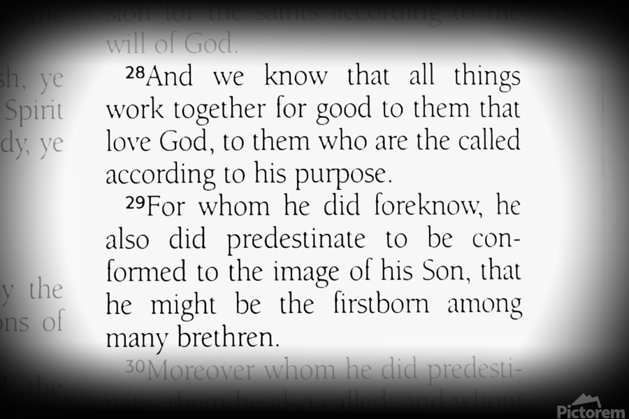 Romans 8:28-29 - Artistic Bible Scriptures and Verses by Artistic Bible ...