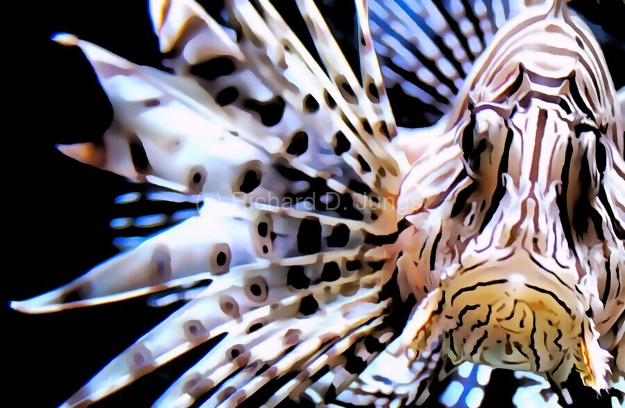 Lion Fish by Richard D. Jungst Wall Art