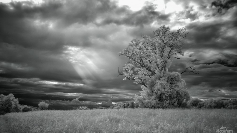 Light Without Color by mfstafford Wall Art