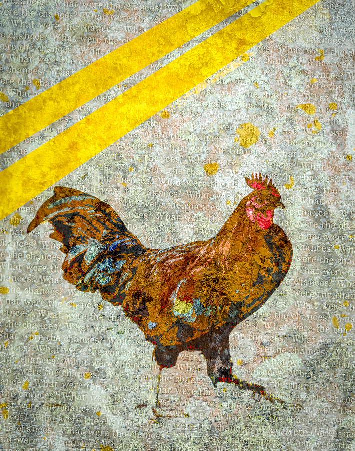 Key West Chicken by Stephen B White Wall Art