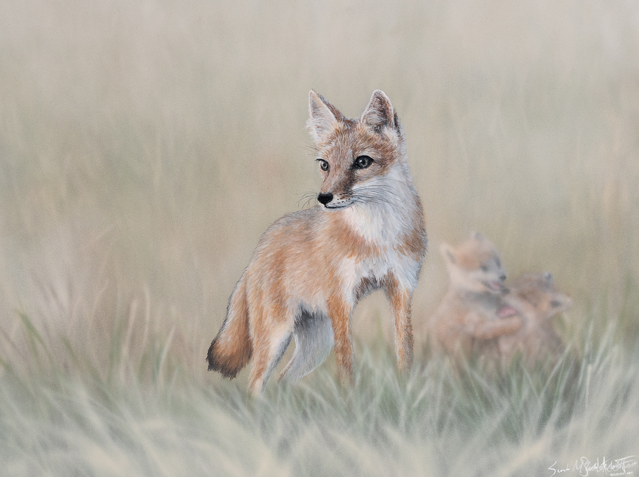 Swift Fox by Sarah McComb Turbitt Wall Art