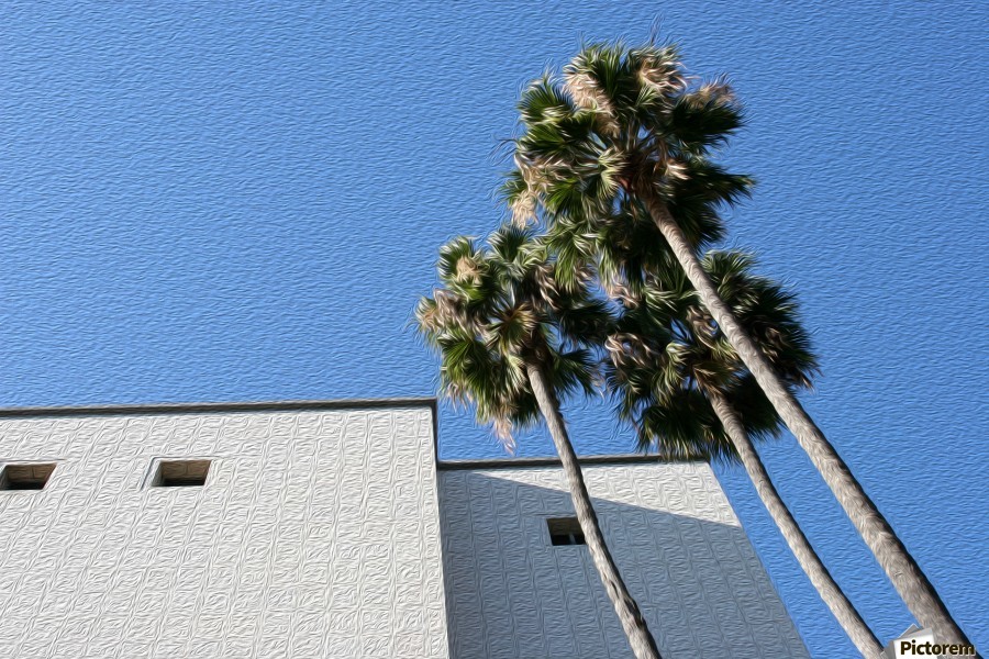 3 Palm Trees Next to Building par Hold Still Photography