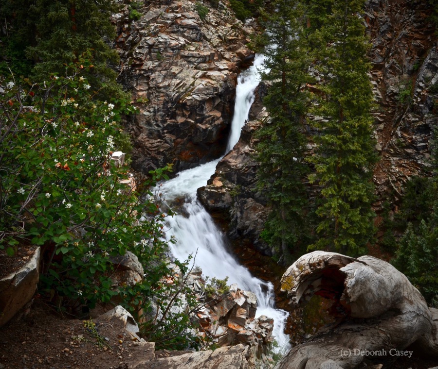 Judd Falls by Deborah Casey Wall Art