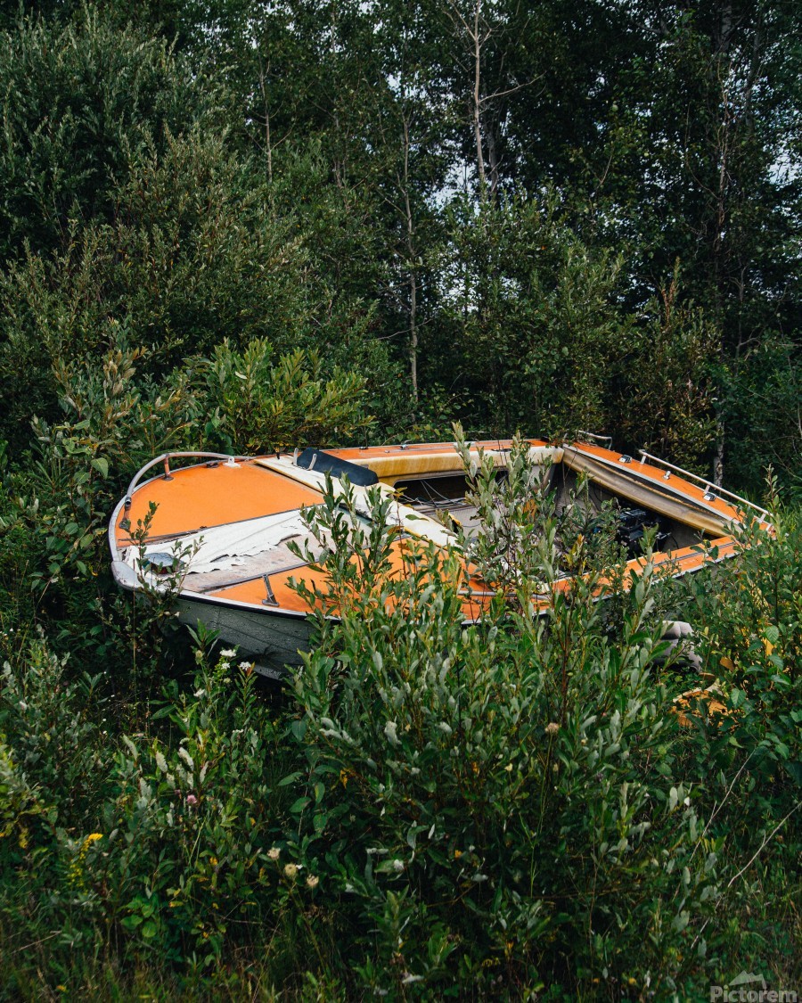 Grounded by Nick Reuper Wall Art