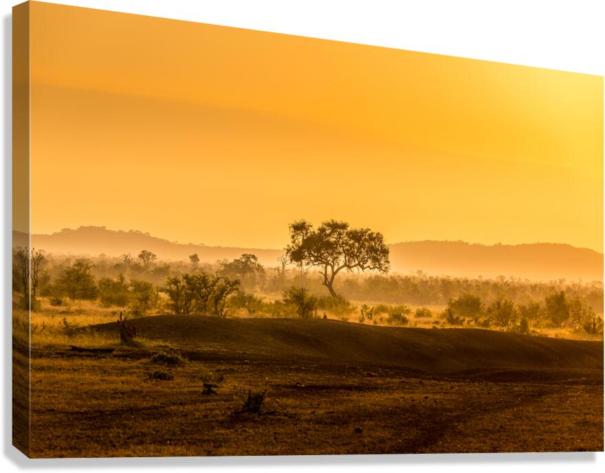 Kruger National Parc Print | Fine Art by Vincent Janssen | Perfect Wall ...
