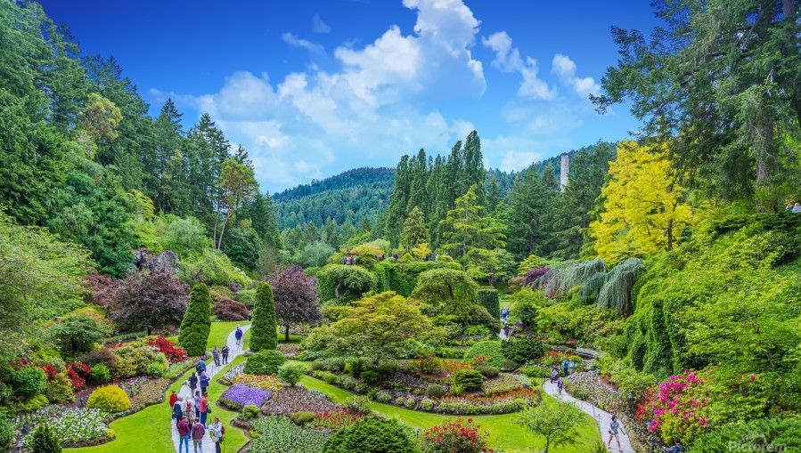 Butchart Gardens by Darryl Brooks Wall Art