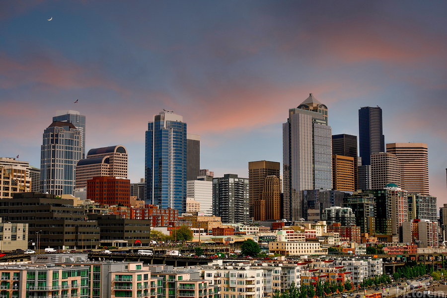 Seattle Skyline Past Condos by Darryl Brooks Wall Art