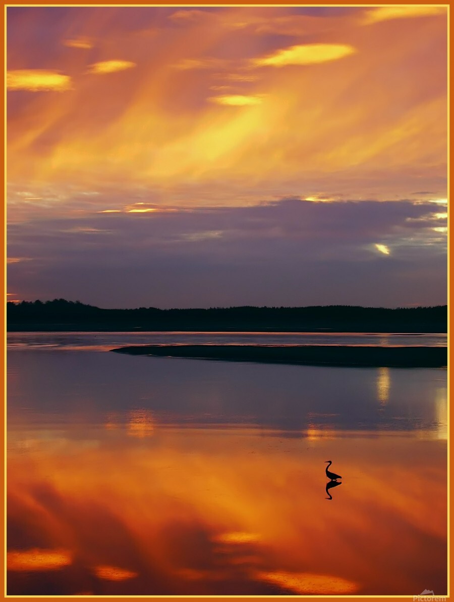 Heron by Ed Eaton Wall Art