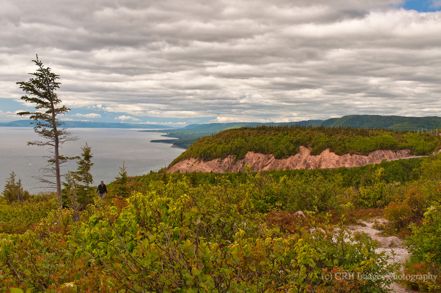 The Cabot Trail by CRB Images Photography Wall Art