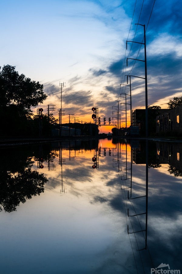 Mindless Behavior by Michael Pierce Wall Art