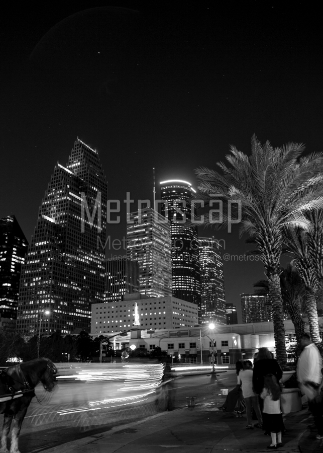 horse carriage downtown houston skyline vertical by Black And White ...