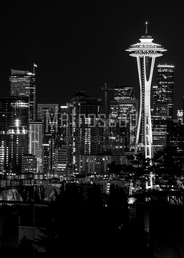 seattle skyline at night vertical 2681 Emerald 1 by Black And White ...