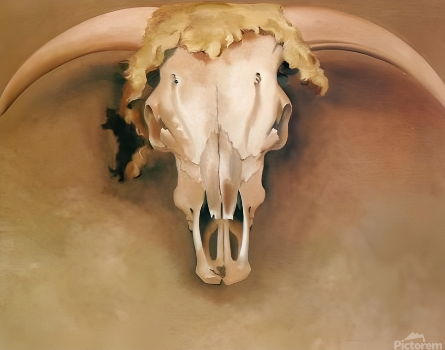 Georgia OKeeffe - Bob Steer Head by William Store Wall Art