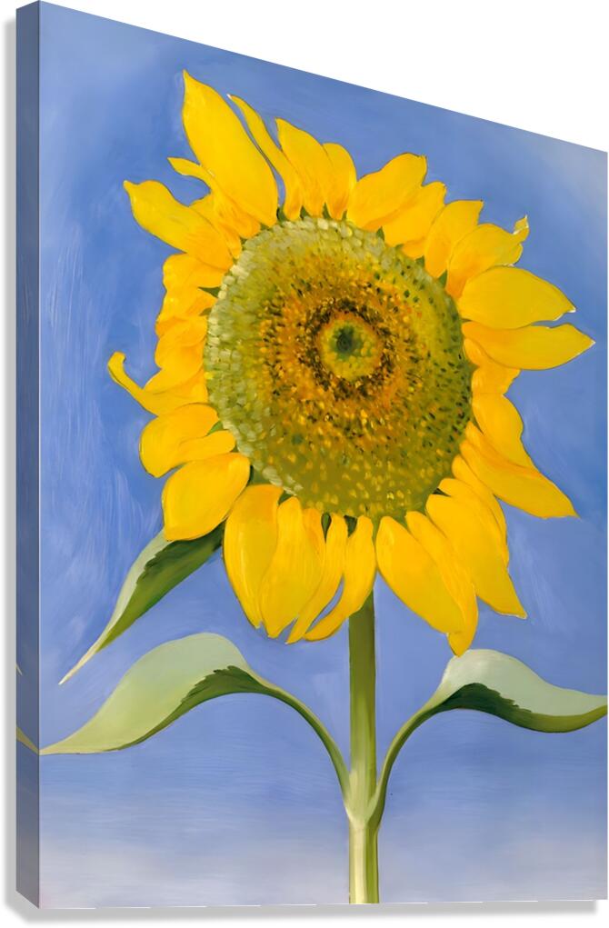 Georgia OKeeffe - Sunflower New Mexico 1935 by William Store Wall Art