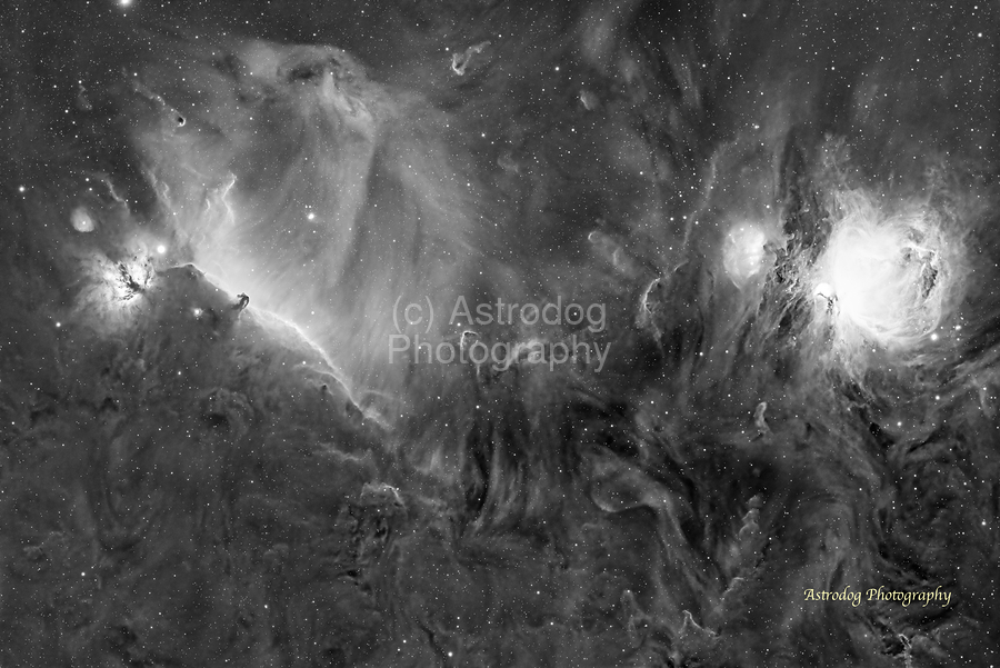 Orion H Alpha Master Light by Astrodog Photography Wall Art