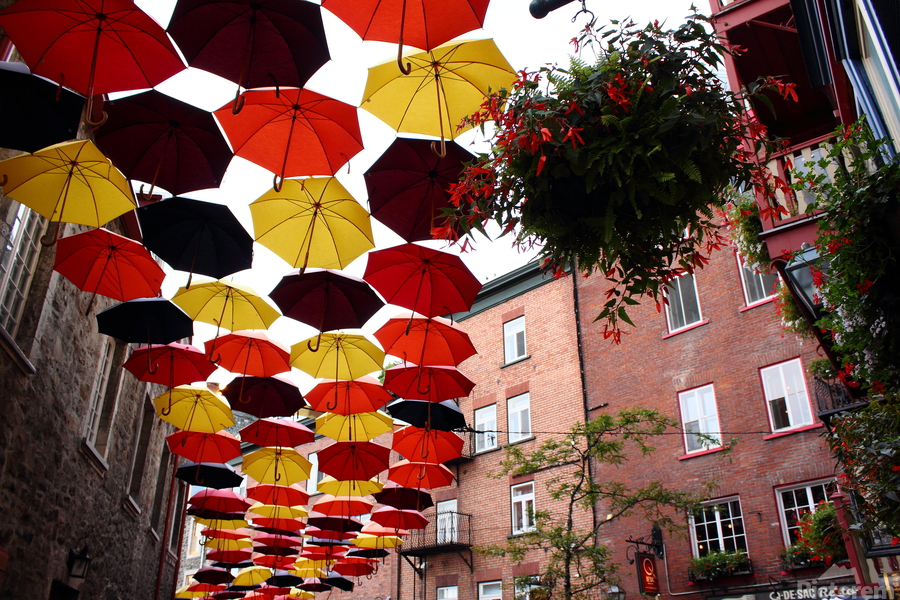 Umbrellas by Mathieu LeBlanc Wall Art