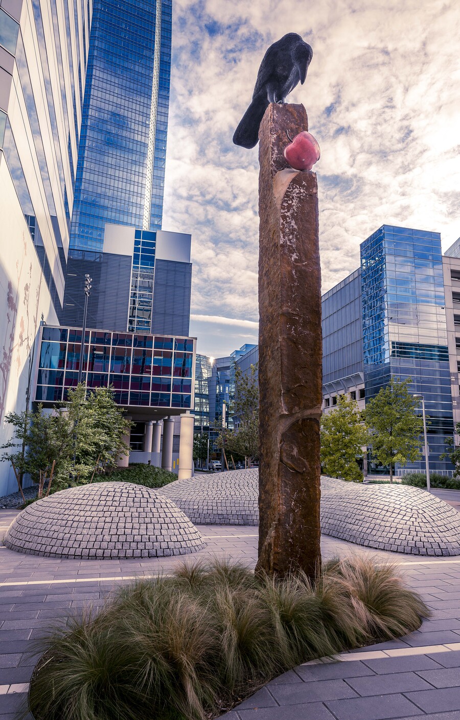 Raven and Apple - Oklahoma City by JazzArt Photography Wall Art