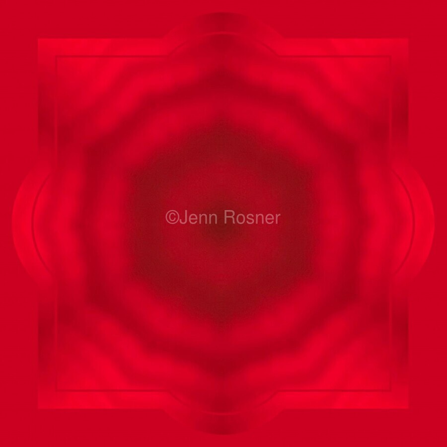 The Rose by Jenn Rosner Wall Art