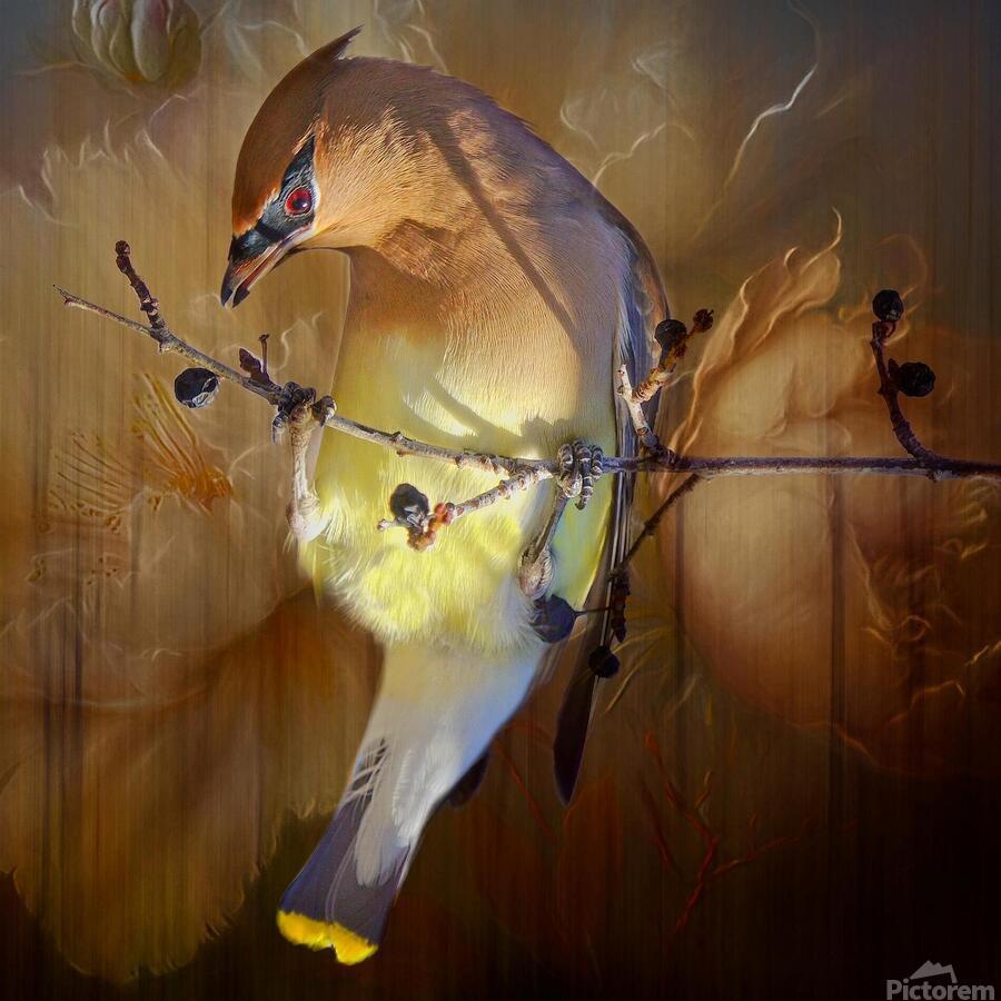 Spring Berries by Maureen Ravnik by The Pix Wall Art