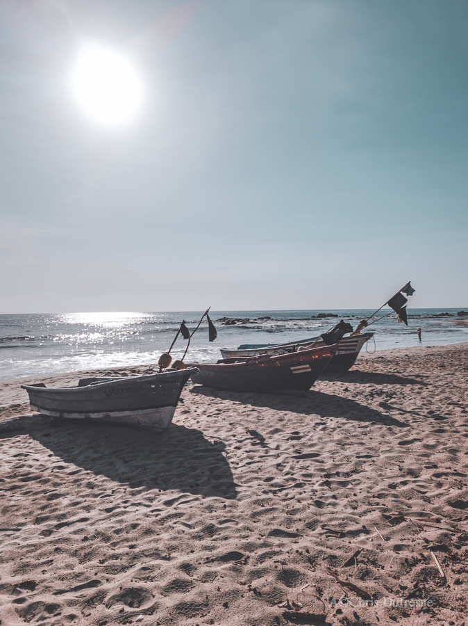 Costa Rican Fishing Boats by Chris Dufresne Wall Art