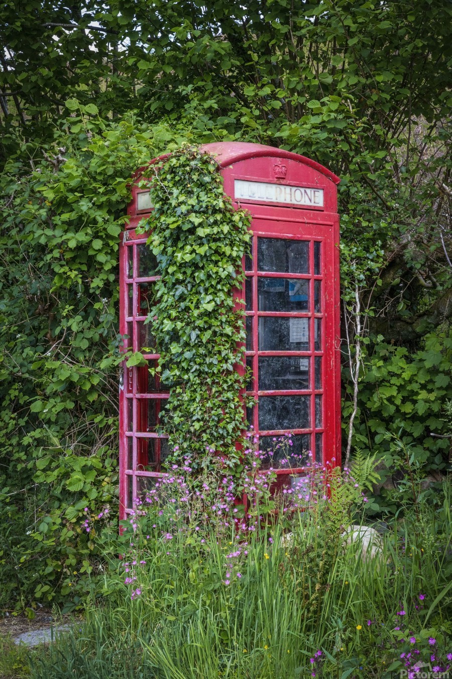 Abandoned British phone booth by Leighton Collins Wall Art
