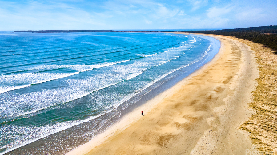 Point Michaud Beach by DaveyandSky Wall Art