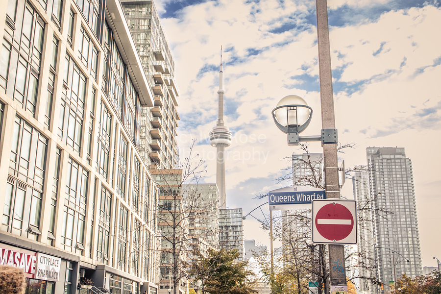 Down Town Toronto Cn Tower by Ivy Rose Photography Wall Art