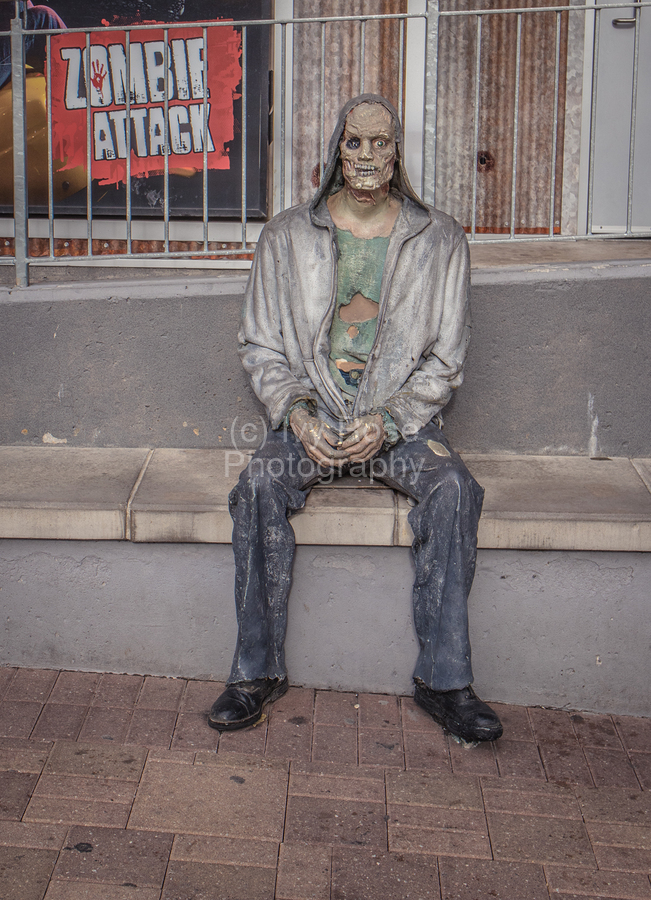 The Sitting Dead by Ivy Rose Photography Wall Art