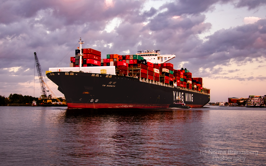 Savannah Yang Ming Container Ship by Norma Brandsberg Photography Wall Art