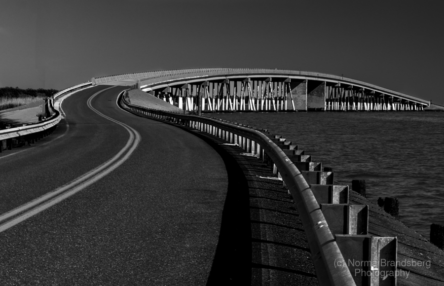 Chesapeake Curved Bridge by Norma Brandsberg Photography Wall Art