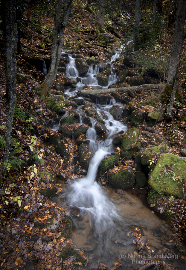 Mountain Waterfall Cascade in the Great Smoky Mountains National Park ...