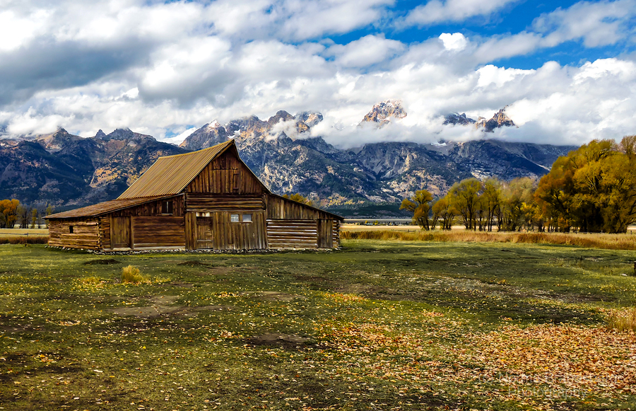 Grand Teton Moulton Mormon Barn by Norma Brandsberg Photography Wall Art