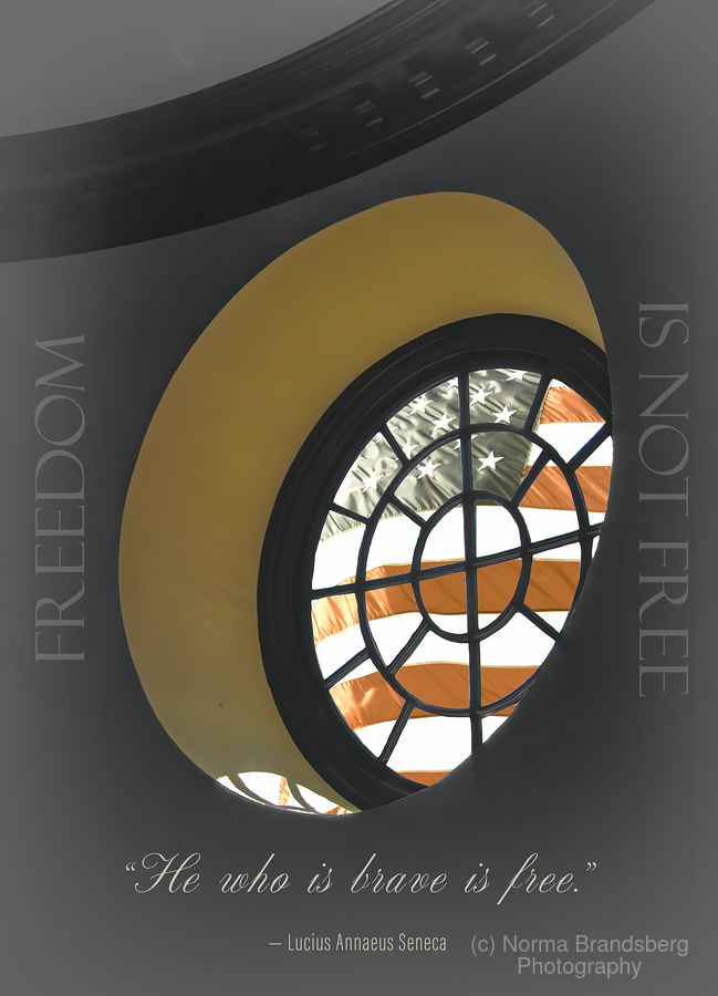 Williamsburg Freedom is Not Free Capitol Window by Norma Brandsberg Photography Wall Art