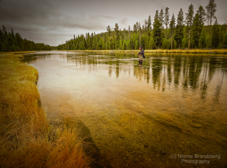 Yellowstone Fly Fishing by Norma Brandsberg Photography Wall Art