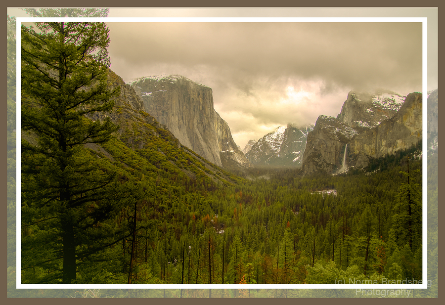 Bordered Yosemite Tunnel View by Norma Brandsberg Photography Wall Art