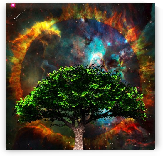 Bruce Rolff - // Art Collection