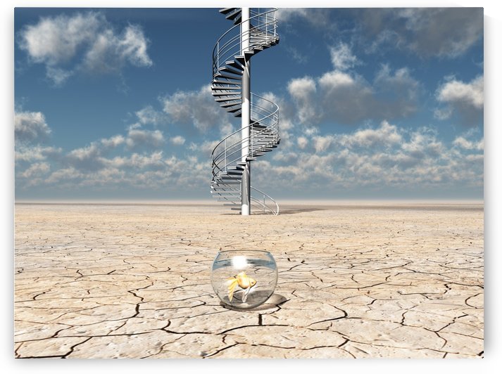 Bruce Rolff - // Art Collection